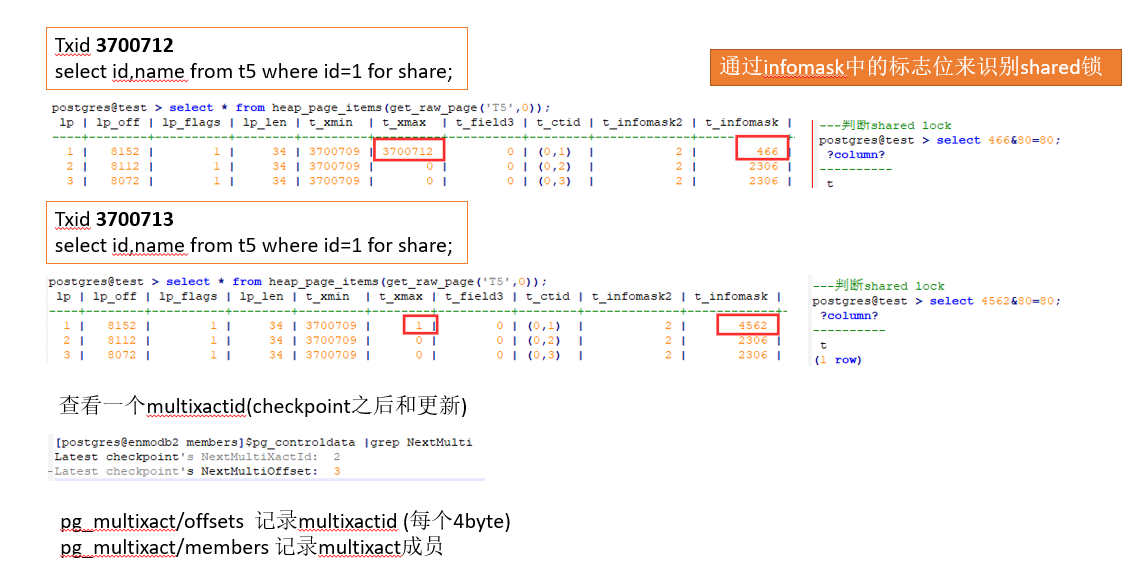 PG 的 multixact是做什么的 - 墨天轮