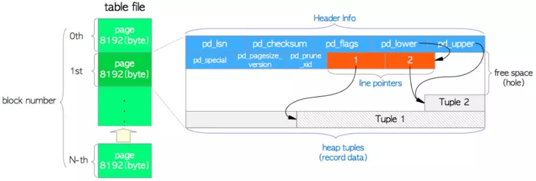 PostgreSQL原理：从 元组、页面结构、索引查找到动态修剪 - 墨天轮