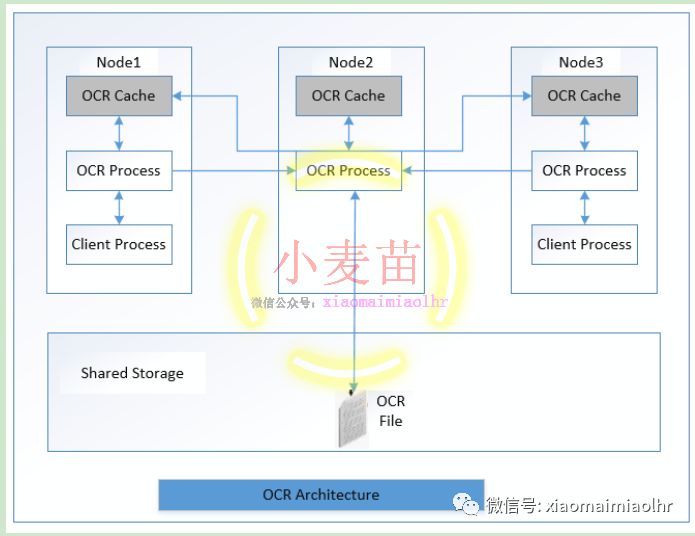 在Oracle中，什么是OCR、OLR和VF？ - 墨天轮